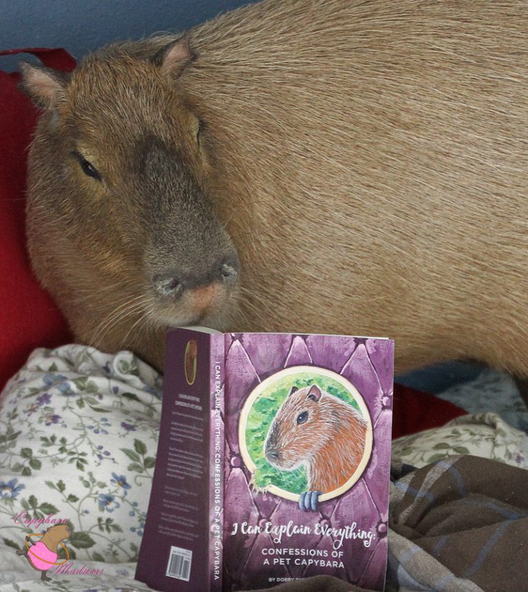 Book – Capybara Madness